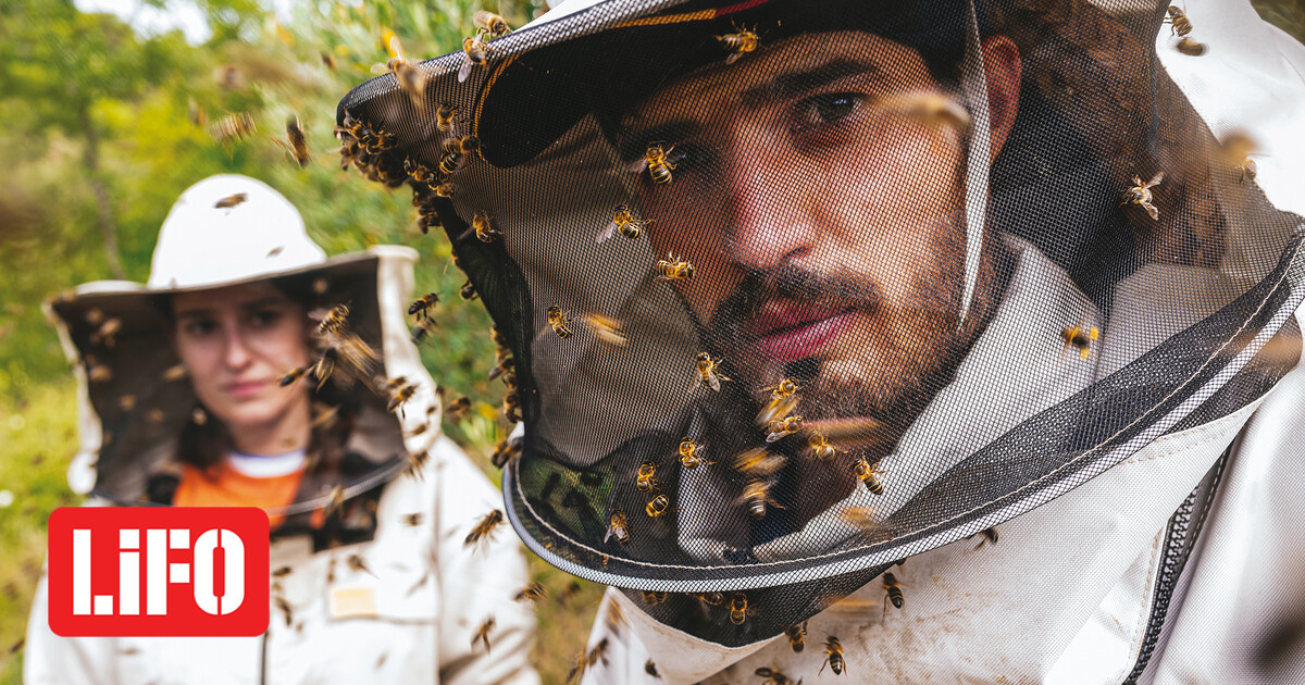 Beegin: Πώς η Εndless EC στηρίζει έμπρακτα τους μελισσοκόμους της Β. Εύβοιας | LiFO